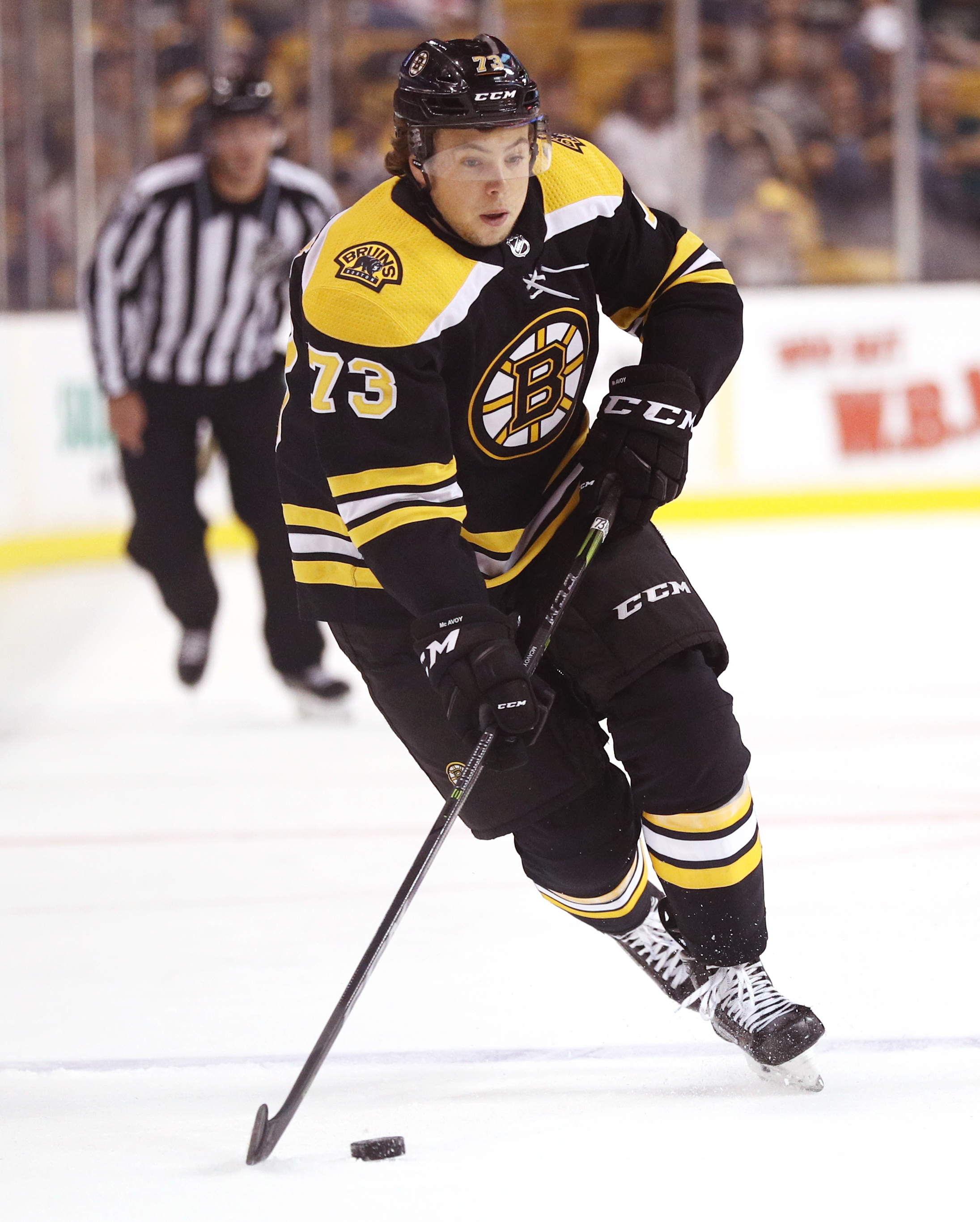 2017-18 Primer: Boston Bruins