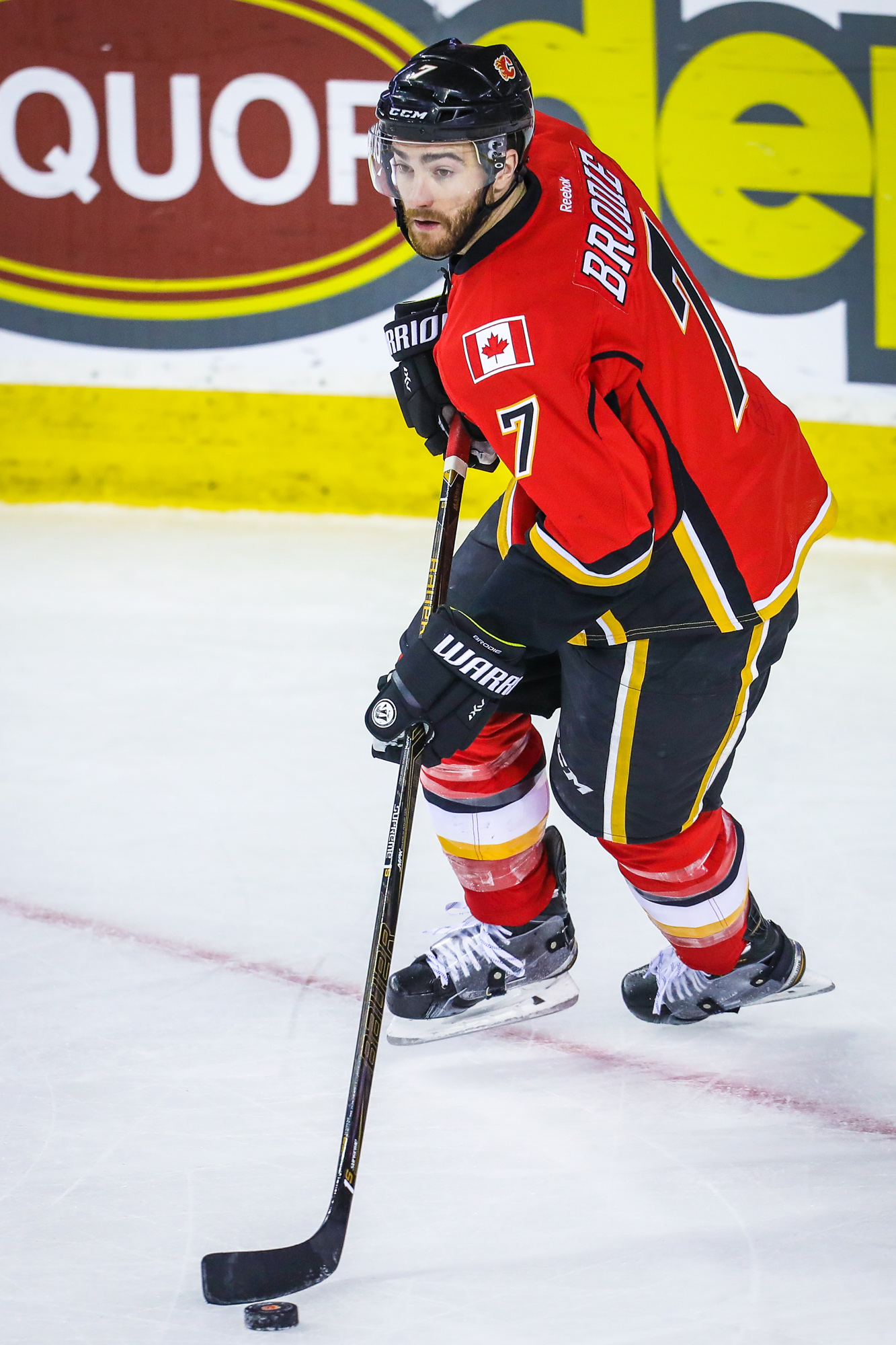 T.J. Brodie